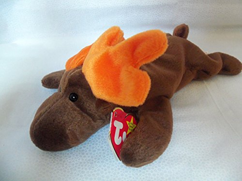 TY Beanie Babies 8`` Moose CHOCOLATE 5th Gen New w/ Tag ,#G14E6GE4R-GE 4-TEW6W228896