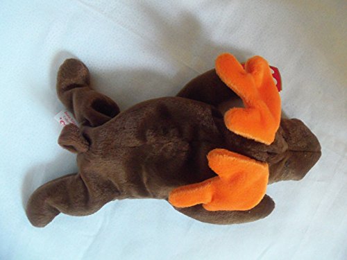 TY Beanie Babies 8`` Moose CHOCOLATE 5th Gen New w/ Tag ,#G14E6GE4R-GE 4-TEW6W228896