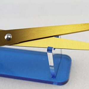 Fengtaiyuan J01 Scissors, 8in Gold, Stainless Steel, offices, households, DIY, embroidery, Dressmaking (J01)