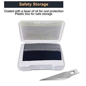 Headley Tools #11 Hobby Knife Blades(Pack of 120),Art Blades Cutting Tool with Storage Case for Craft, Hobby, Scrapbooking, Stencil