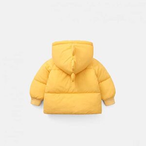 Baby Kids Hoodies Down Jacket, 12M-5Y Toddler Boys Girls Dinosaur Print Jacket Coat Fall Winter Keep Warm Hoodie Coat (2-3 Years, Yellow)