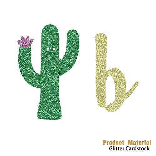 Taco Bout 50 Cactus Banner, 50th Birthday Fiesta Party Decorations, 50th Birthday Decor