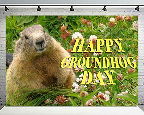 Happy Groundhog Day Banner Background Realistic Cute Animals Flowers Green Grass Theme Decor for 1st Birthday Party Spring February 2nd Holidays Festival Groundhog Day Supplies Favors Decorations