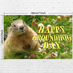 Happy Groundhog Day Banner Background Realistic Cute Animals Flowers Green Grass Theme Decor for 1st Birthday Party Spring February 2nd Holidays Festival Groundhog Day Supplies Favors Decorations