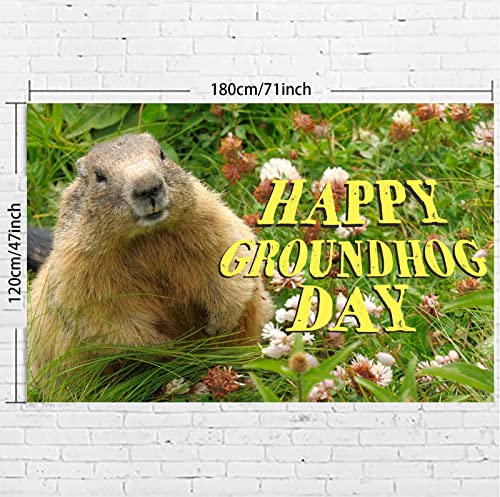 Happy Groundhog Day Banner Background Realistic Cute Animals Flowers Green Grass Theme Decor for 1st Birthday Party Spring February 2nd Holidays Festival Groundhog Day Supplies Favors Decorations