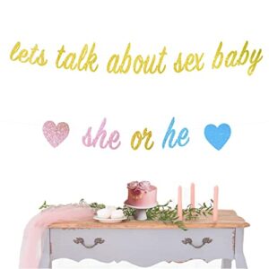 gender reveal banner- lets talk about sex baby she or he banner-unssembled for boy or girl, blue or pink party decor, gender reveal banner decor party favor