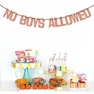 No Boys Allowed Banner, Women Bride Bachelorette Decorations, Bride to Be Banner, Bachelorette Party Decorations, Bride Pajamas Party Supplies Rose Gold Glitter