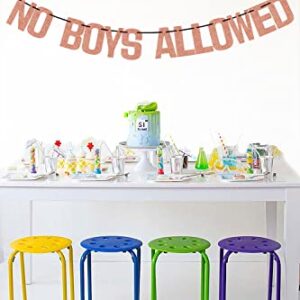 No Boys Allowed Banner, Women Bride Bachelorette Decorations, Bride to Be Banner, Bachelorette Party Decorations, Bride Pajamas Party Supplies Rose Gold Glitter