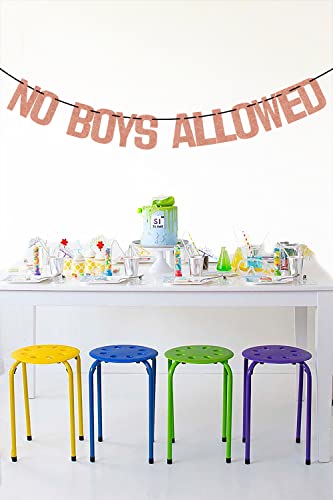 No Boys Allowed Banner, Women Bride Bachelorette Decorations, Bride to Be Banner, Bachelorette Party Decorations, Bride Pajamas Party Supplies Rose Gold Glitter