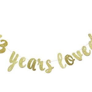 13 Years Loved Banner - Happy 13th Birthday/Wedding Anniversary Party Decorations-Gold