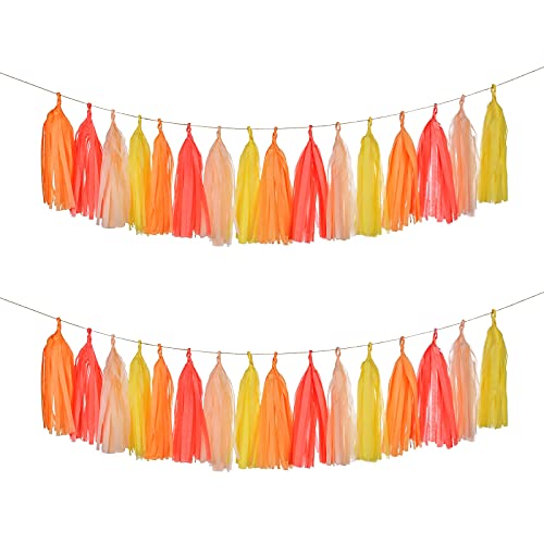 Mefuny 20PCS Tissue Paper Tassel Garland, DIY Paper Tassels Banner, Party Decorations for Baby Shower Wedding Birthday Party Thanksgiving Day