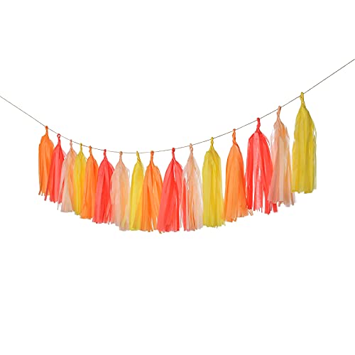 Mefuny 20PCS Tissue Paper Tassel Garland, DIY Paper Tassels Banner, Party Decorations for Baby Shower Wedding Birthday Party Thanksgiving Day