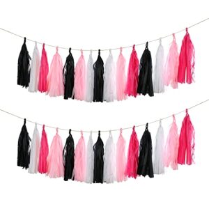 meetppy guzon 20pcs hot pink black white tassel garland party decoration, wedding bachelorette birthday anniversary party decorations backdrop décor