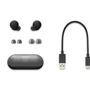 Sony WF-C500 Truly Wireless In-Ear Bluetooth Earbud Headphones with Mic and IPX4 water resistance, Black