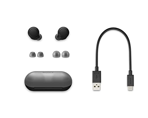 Sony WF-C500 Truly Wireless In-Ear Bluetooth Earbud Headphones with Mic and IPX4 water resistance, Black