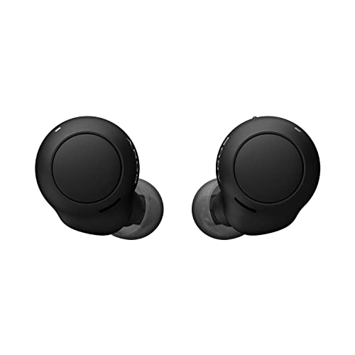 Sony WF-C500 Truly Wireless In-Ear Bluetooth Earbud Headphones with Mic and IPX4 water resistance, Black