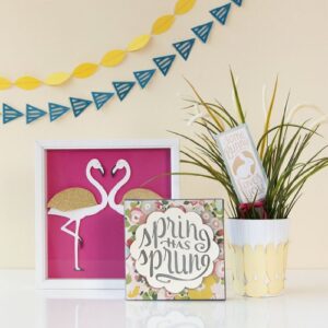 Cricut Projects Cartridge, Home for Spring and Summer Holidays