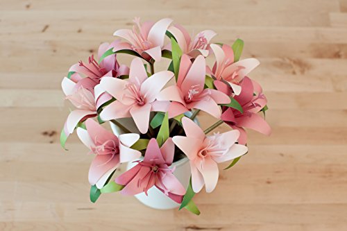 Cricut 3D Floral Home Decor Cartridge