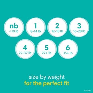 Pampers Baby Dry Diapers Size 5 132 Count