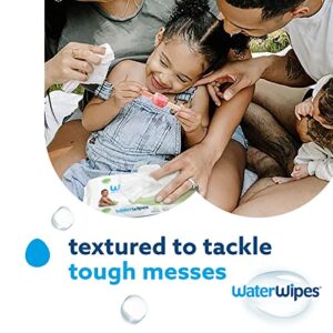 WaterWipes Plastic-Free Textured Clean, Toddler & Baby Wipes, 99.9% Water Based Wipes, Unscented & Hypoallergenic for Sensitive Skin, 240 Count (4 packs), Packaging May Vary