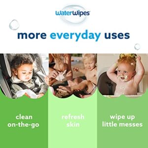 WaterWipes Plastic-Free Textured Clean, Toddler & Baby Wipes, 99.9% Water Based Wipes, Unscented & Hypoallergenic for Sensitive Skin, 240 Count (4 packs), Packaging May Vary