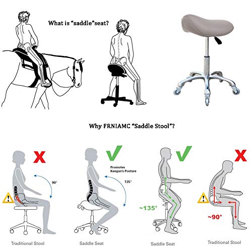 FRNIAMC Professional Saddle Stool with Wheels Ergonomic Swivel Rolling Height Adjustable for Clinic Dentist Beauty Salon Tattoo Home Office (Grey)