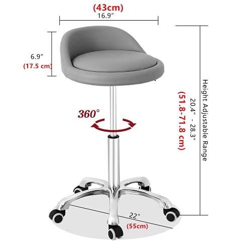 Grace & Grace Professional Gilder Series with Backrest Comfortable Seat Rolling Swivel Pneumatic Adjustable Heavy Duty Stool for Shop, Salon, Office and Home (Without Footrest, Grey)