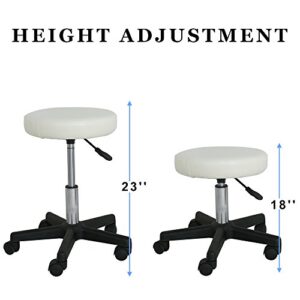 Adjustable Hydraulic Rolling Swivel Salon Stool Chair Tattoo Massage Facial Spa Stool Chair Black (White)