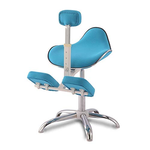 SHENGDAFASHANGCHENG Kids Computer Desk Chair, Low-Back Task Study Chairs with Casters, Adjustable and Swivel Mesh Chair for School Home Office Kneeling Chair, Prevent Myopia (Color : Blue)