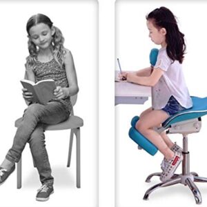 SHENGDAFASHANGCHENG Kids Computer Desk Chair, Low-Back Task Study Chairs with Casters, Adjustable and Swivel Mesh Chair for School Home Office Kneeling Chair, Prevent Myopia (Color : Blue)