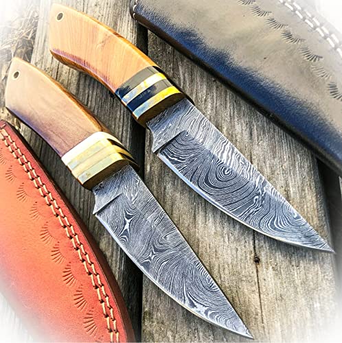 New 2PC 8.5" Damascus Survival Tactical Fixed Blade Hunting Skinner Bowie Knife SET Camping Outdoor Pro Tactical Elite Knife BLDA-1167