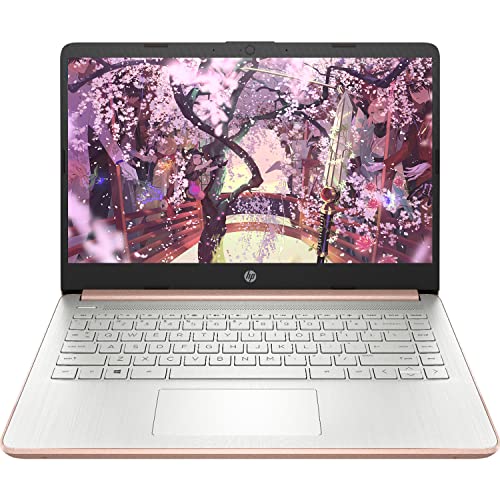 HP Premium 14-inch HD Thin and Light Laptop, Intel Dual-Core Processor, 8GB RAM, 64GB Storage, Long Battery Life, Webcam, Bluetooth, HDMI, Wi-Fi, Rose Gold, Windows 11 + 1 Year Microsoft 365 (Renewed)