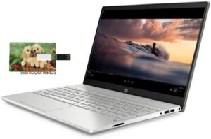 hp pavilion 15 business laptop computer, 10th gen intel core i5-1035g1, 15.6″ hd ips touchscreen, 16gb ram, 1tb ssd, win 10 pro, wi-fi 5, bluetooth 5, webcam, b&o audio, hdmi | 32gb usb card