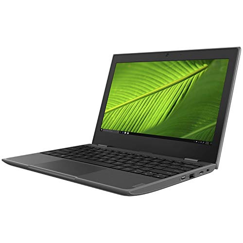 Lenovo 100e Windows 2nd Gen 81M80035US 11.6" Netbook - HD - 1366 x 768 - Intel Celeron N4020 Dual-core (2 Core) 1.10 GHz - 4 GB RAM - 64 GB Flash Memory - Gray