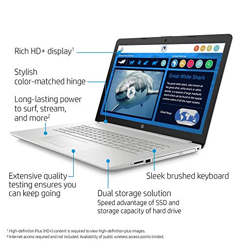 2020 New HP 17-by3063st 17.3 HD Display Notebook, Intel i3-1005G1, 8GB Memory, 128GB SSD 1TB Hard Drive, Windows 10, Silver (Renewed)