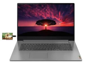 new lenovo ideapad 3i business laptop, 17.3″ hd display, intel core i3-1115g4, windows 10 pro, 12gb ram, 512gb ssd, wifi 6, 32gb durlyfish usb card