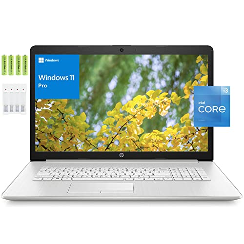 HP [Windows 11 Pro] 17 17.3" FHD Business Laptop, 11th Gen Intel Dual Core i3-1115G4 Processor, 16GB RAM, 256GB PCIe SSD, Intel Integrated SoC, Wi-Fi, HDMI, Bluetooth 4.2 Combo, Silver, w/Battery