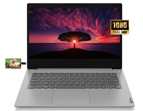 New Lenovo IdeaPad 3i Business Laptop, 14" FHD Display, Intel Core i5-10210U, Windows 10 Pro, 12GB RAM 512GB SSD, WIFI, HDMI, 32GB Durlyfish USB Card