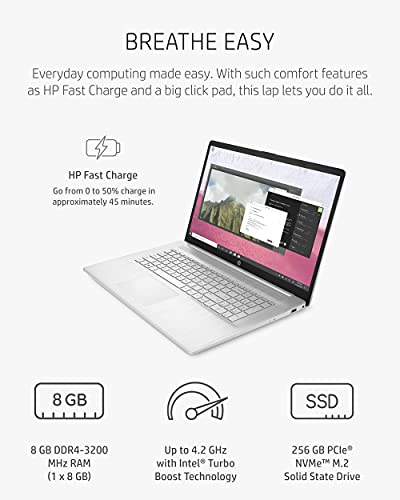 HP 17 Laptop PC, 11th Gen Intel Core i3-1125G4, 8 GB RAM, 256 GB SSD Storage, 17.3-inch HD+ Touchscreen, Windows 10 Home, Long Battery Life, HD Web-cam & Dual Microphones (17-cn0010nr, 2021) Silver