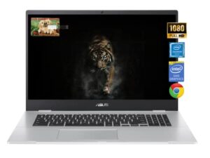 asus chromebook business laptop, 17.3″ fhd widescreen slim-bezel, intel celeron n4500, chrome os, 4gb ram, 64gb emmc, wi-fi 6, type-c, intel uhd graphics, long battery life, durlyfish