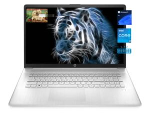 hp 2023 pavilion business laptop, intel core i5-1155g7, 17.3″ fhd ips display, windows 11 pro, 32gb ram, 1tb ssd, intel iris xe graphics, backlit keyboard, wifi, type-c, long battery life, durlyfish