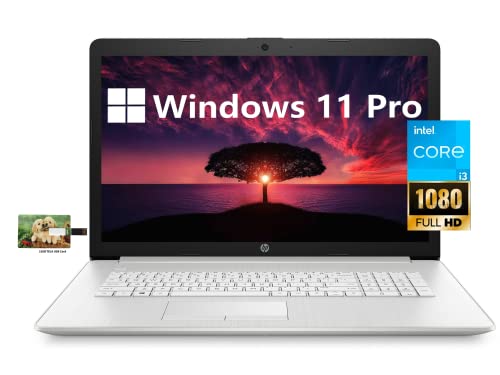 HP 17 Business Laptop Computer, 11th Gen Intel Core i3-1115G4, 17" FHD Display, Windows 11 Pro, 16GB RAM, 512GB SSD, Wi-Fi, Bluetooth, Webcam, HDMI, 32GB Durlyfish USB Card