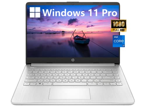 HP 14 Business Laptop Computer, 11th Gen Intel Core i7-1195G7, 14" FHD Display, Windows 11 Pro, 32GB RAM, 1TB SSD, Backlit Keyboard, WiFi 6, HDMI, SD Media Card Reader, Long Battery Life, Durlyfish