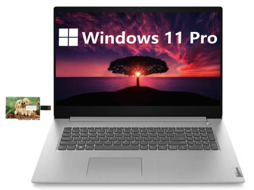 Lenovo IdeaPad 3 Business Laptop, 17.3" HD Display, Intel Core i5-1035G1, Windows 11 Pro, 8GB RAM 256GB SSD, WiFi, Bluetooth,32GB Durlyfish USB Card