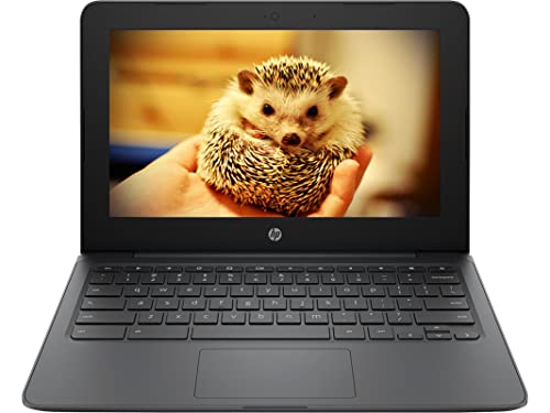 HP 2022 Chromebook 11.6" HD for Business and Student Laptop, Intel Celeron N3350 Processor, 4GB RAM, 160GB Storage( 32GB eMMc+128GB MicroSD), Intel HD Graphics, HD Webcam, Gray, Chrome OS