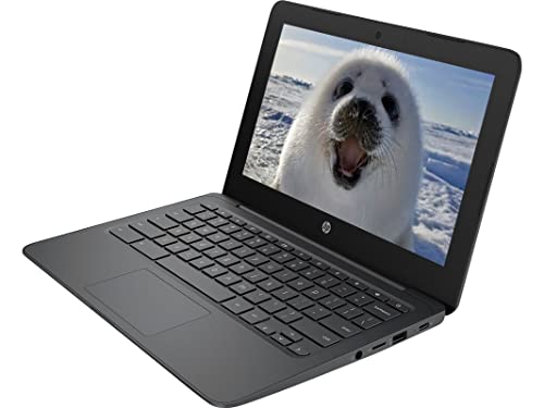 HP 2022 Chromebook 11.6" HD for Business and Student Laptop, Intel Celeron N3350 Processor, 4GB RAM, 160GB Storage( 32GB eMMc+128GB MicroSD), Intel HD Graphics, HD Webcam, Gray, Chrome OS