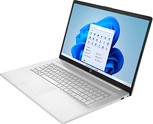 Newest HP Notebook Laptop, 17.3’’ Full HD Display, AMD Ryzen 5 5500U Hexa-Core Processor, 32GB RAM, 1TB PCIe SSD, Fingerprint Reader, Wi-Fi, Webcam, HDMI, Windows 11 Home, Natural Silver