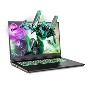 sager 2023 np7881d gaming laptop, 17.3 inch fhd 144hz 72% ntsc, intel i9-13900hx, rtx 4060 8gb, 32gb ram, 1tb gen4 nvme ssd, tbt 4, win 11