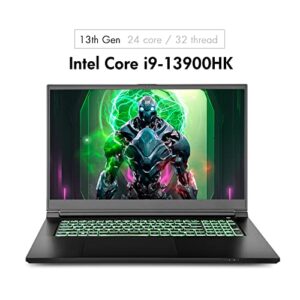 Sager 2023 NP7881D Gaming Laptop, 17.3 Inch FHD 144Hz 72% NTSC, Intel i9-13900HX, RTX 4060 8GB, 32GB RAM, 1TB Gen4 NVMe SSD, TBT 4, Win 11