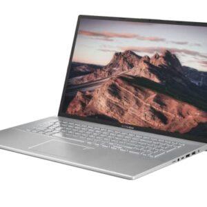 ASUS Vivobook 17 Business Laptop, 17.3" HD Display, Intel Core i5-1035G1, Windows 10 Pro, 12GB RAM, 256GB SSD+1TB HDD, HDMI, WiFi, Bluetooth, PCS